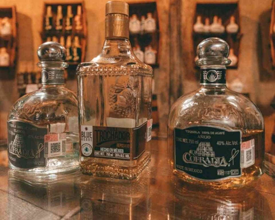 Visit Tequila, Jalisco from Guadalajara: literally the tequila capital ...