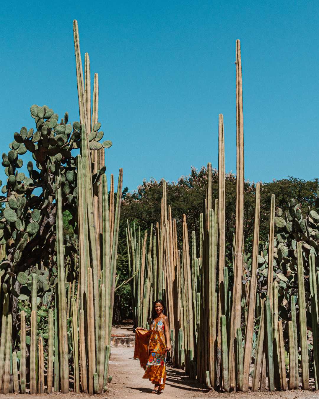 Epic 3-5 Day Oaxaca Itinerary (Free Travel Itinerary Download ...