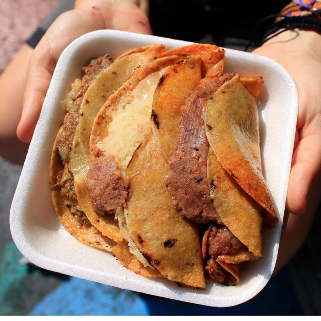 Best Mexico City Food Tour with 14 street food tastings | Mexico Insider